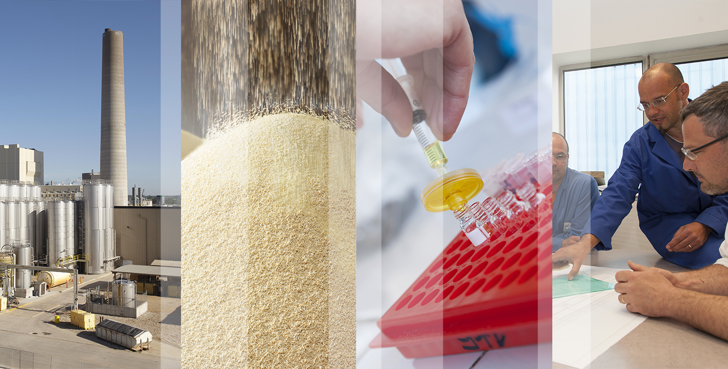 Lesaffre – Lesaffre